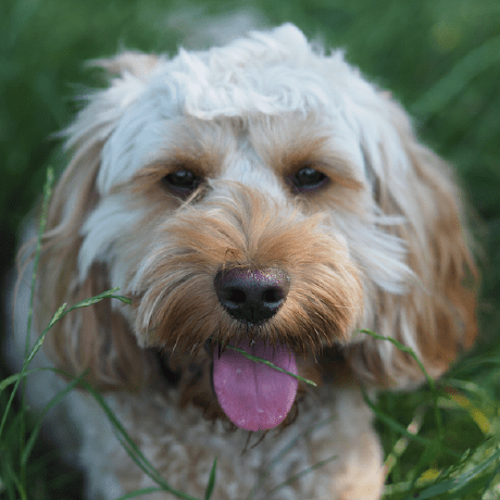 Toby Coleman Toby Coleman Github