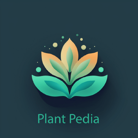 Nextcentury Coders Github