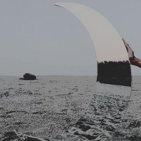 Github Sea Tiger Orca - Nature Patterns - Stunning Desktop Collection