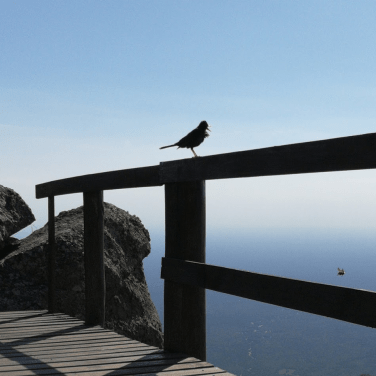 Osvalb Osvaldo Github