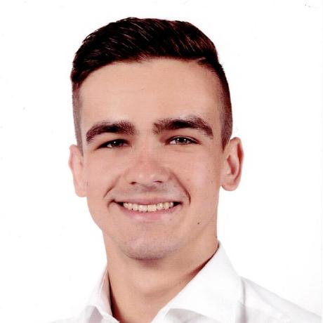 Janosik8 Jan Ogiegło Github