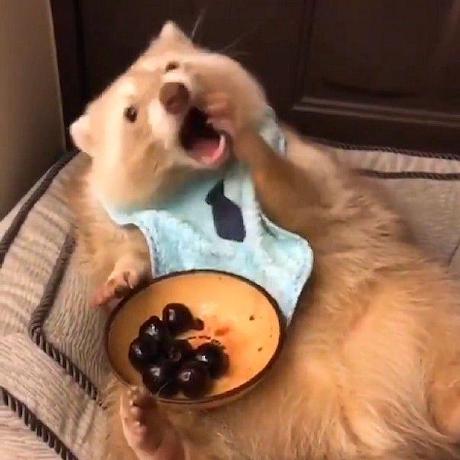 Bubbles1947 Bubbles Github