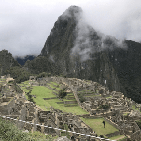 Giuliacerny Giulia Cerny Oliveira Github