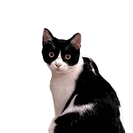 Tingfei Github Github