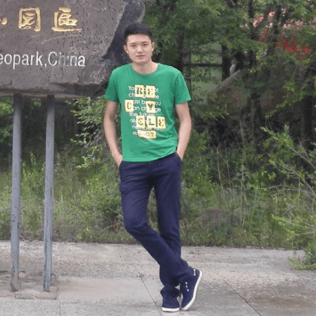 Wszlong Long Zhou Github