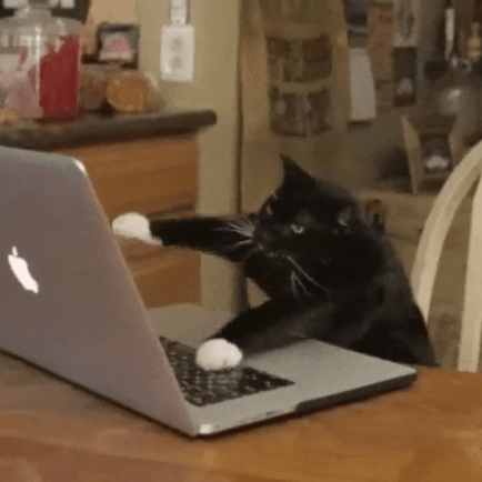 Tigrae Tilman Github