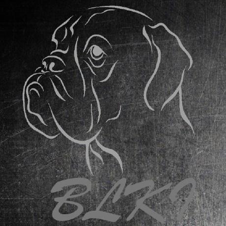 Black Iron Project Github