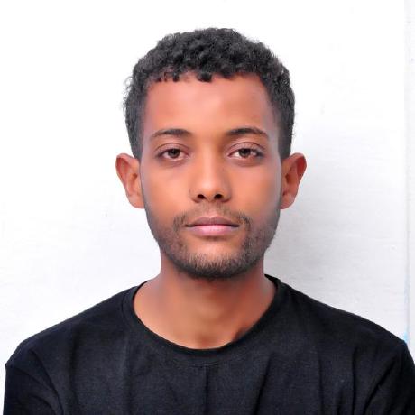 12amirahm Amir M Ahmed Github