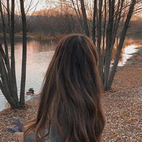 Emilia987 Emilia Github