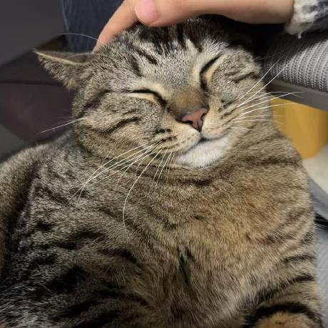 Lujun Wc Lujun Github