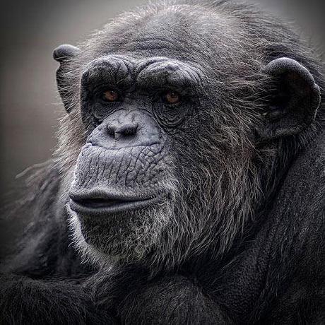 Fsq Juergen Github - Best Minimal Photos in 8K