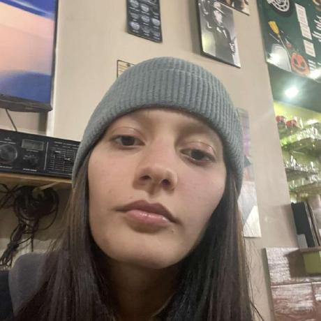 Iramguesmi Iram Guesmi Github