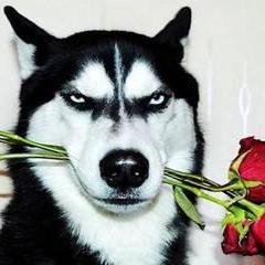 Github Long2ice Fastapi Limiter A Request Rate Limiter For Fastapi