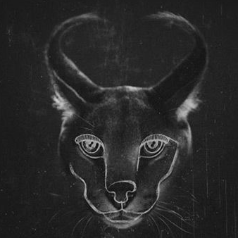 Shadow Network Github