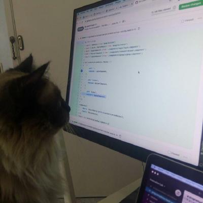 Carolina Nakamura Github