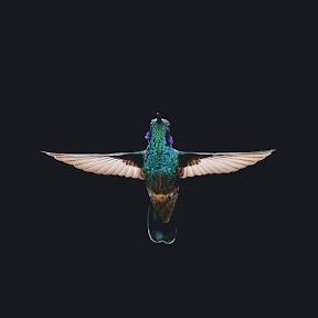 Anwaaransari12 Shaik Anwaar Ahmed Ansari Github