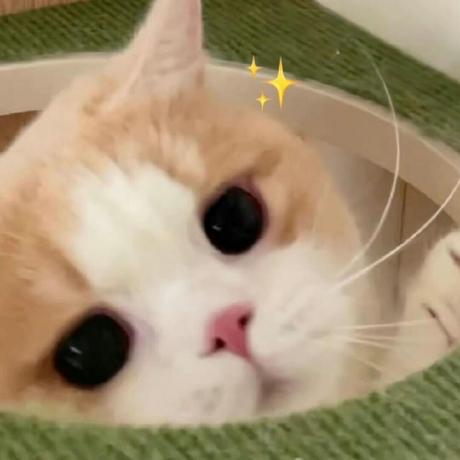 C3236455482 Rainy Github