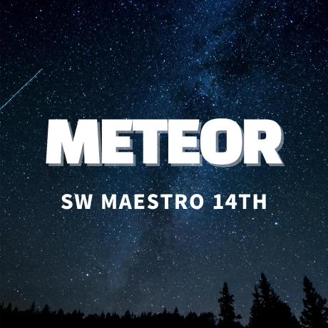Swm Meteor Github
