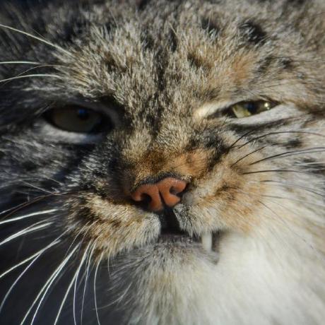 Cristopherpp Cristopher Pérez Github