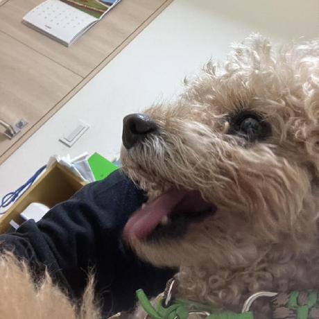 Iijima Naoya 45b Github