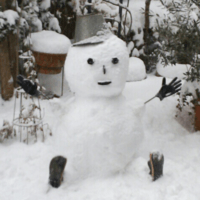 Kikuchi0022 Kikuchi Github