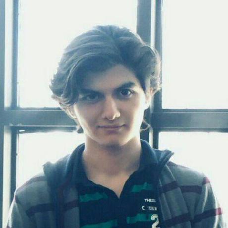 Alimo Ali Mohammadi Github