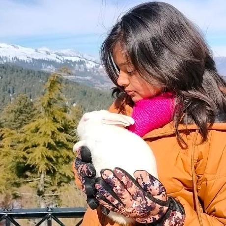 Rabbitt 1001 Rabbitt 1001 Repositories Github