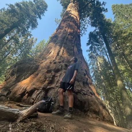 Cr1901 William D Jones Github - Colorful Arts - High Quality Retina Collection