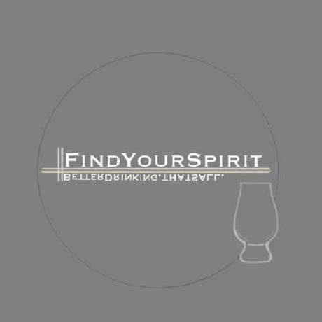 Find Your Spirit Github