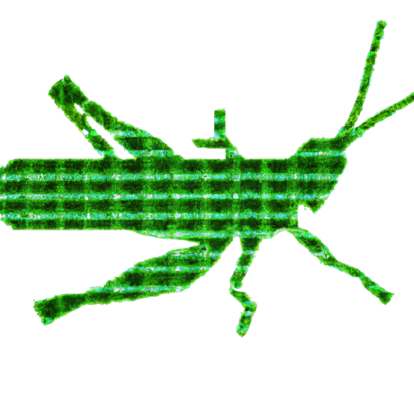 Code Grasshopper Github