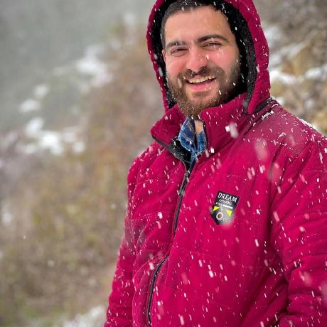 Cyberman010 Mohamad Hasoun Github - Best Nature Patterns in Retina