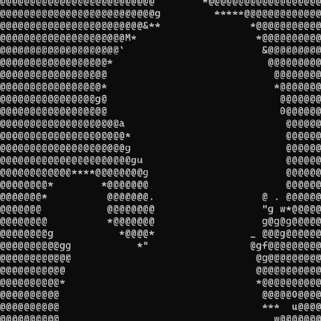 Bad Apple Lab Github