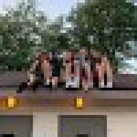 Abby Ux Abby Reese Github