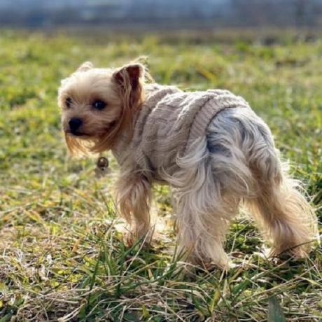 Fumiya Endo Sti Fumiya Endo Github