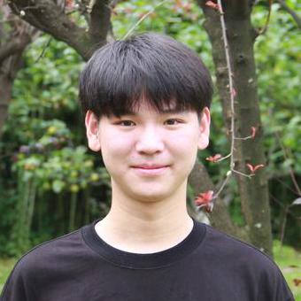 Xinpenglu Xinpenglu Github