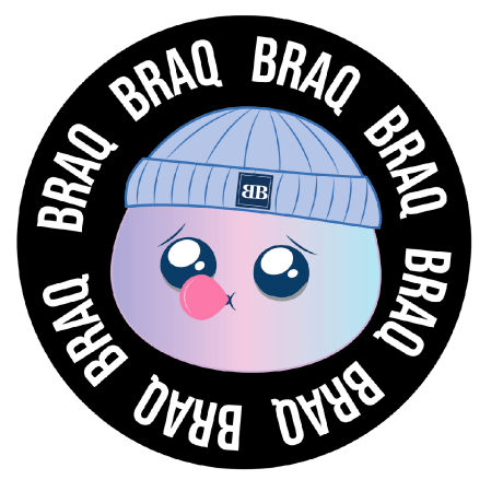 Braqdevelopment Github