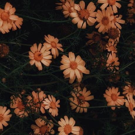 Spjk007 Princy Jeeva Karunya S Github