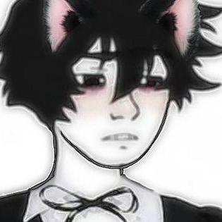 Literallynamedsocks Socks Github