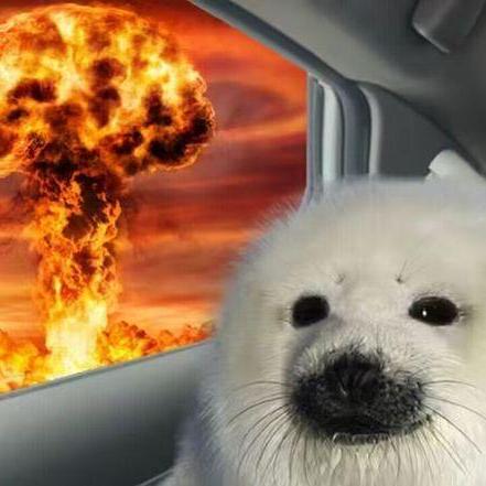 Mora2662 Mora Github