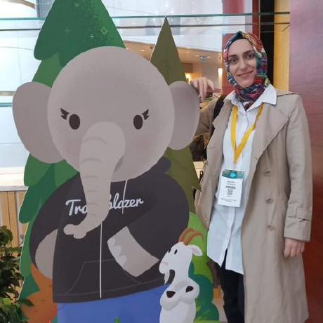 Zehrabulut Zehra Bulut Github