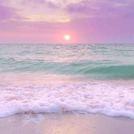 Nandini Sandeep Github