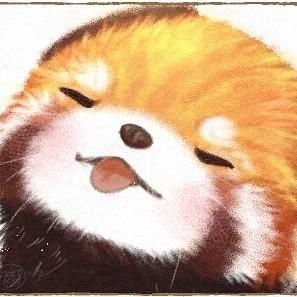 Rizalhalim9 Aminuddin Rizal Github