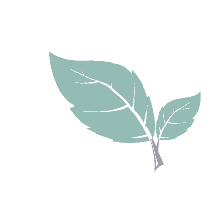 Sponsor Myherbdev On Github Sponsors Github