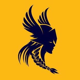 The Valkyrie Programming Language Github