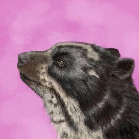 Lorenaconst Lorena Sanchez Github