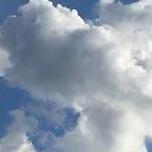 Buggylol Buggy Github