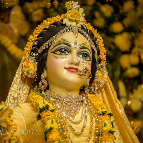 Deepika 012 Deepika Bhatt Github