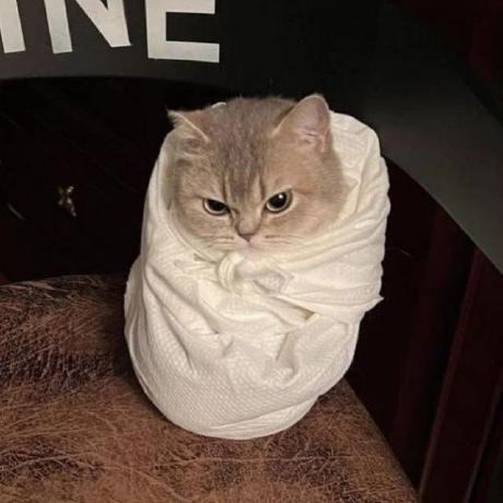 Mr Ely Git Mr Ely Github