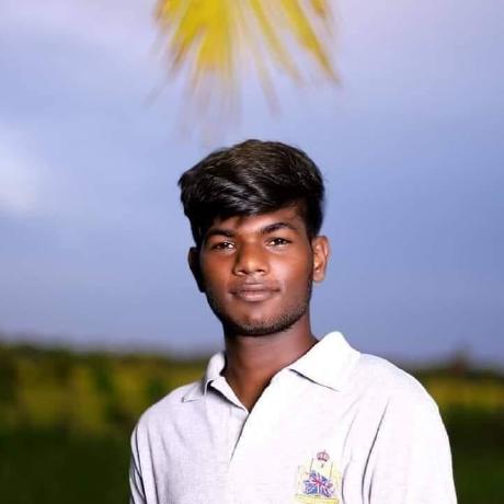 Bvithusan1999 Balasinkam Vithusan Github