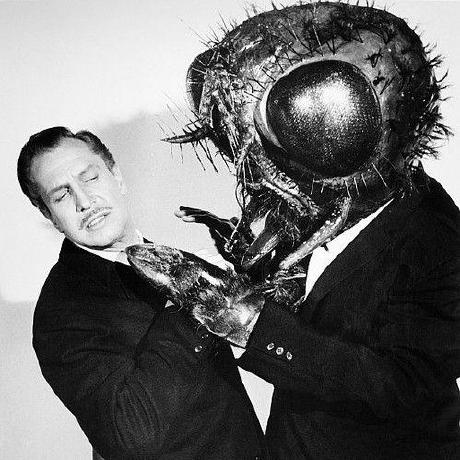 Samcwhitehead Sam Whitehead Github